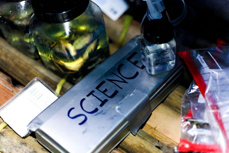 The 12 Types Of Conservation Career (and how to choose which one is for ...